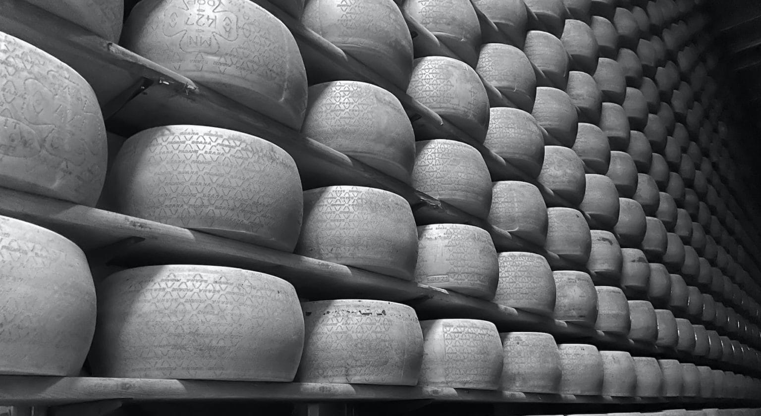 Realco • Enzymes for life